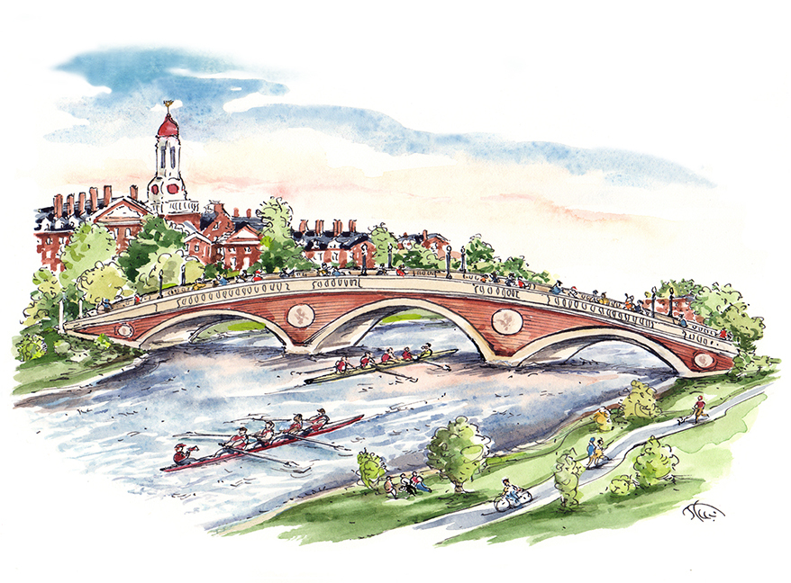 Mark Steele - Weeks Footbridge